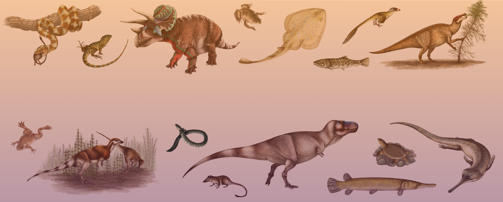 About – Cretaceous Creatures